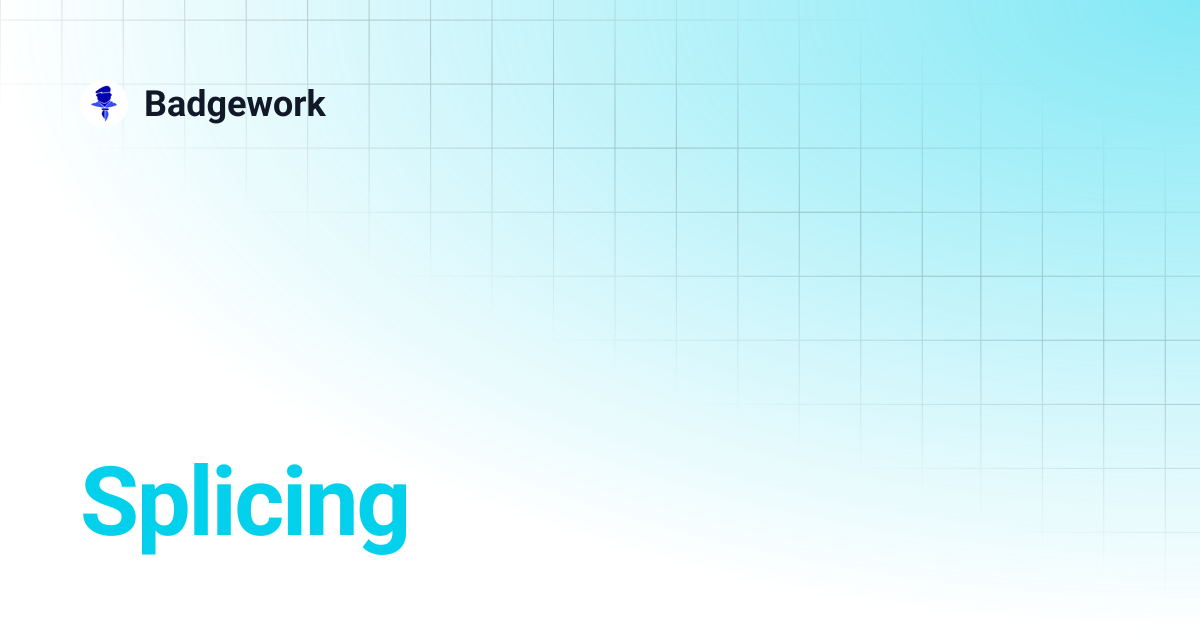 Splicing | Badgework
