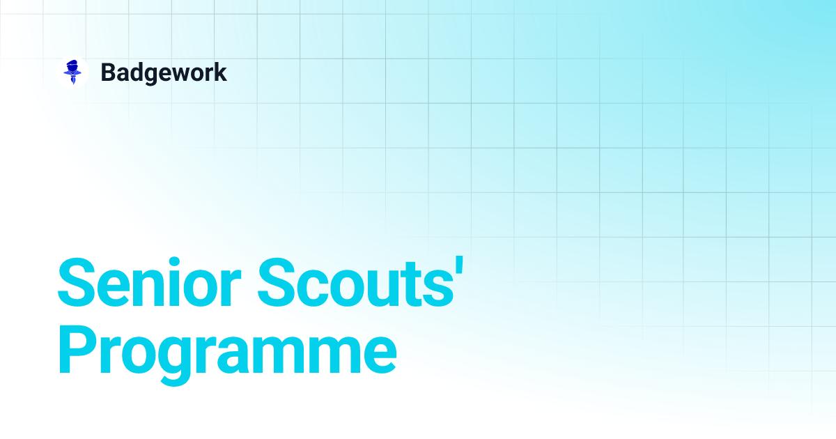 Senior Scouts' Programme | Badgework